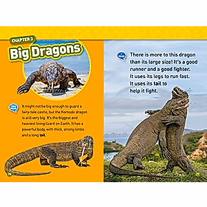 Real Dragons! (National Geographic Kids Readers, Level 1/Co-Reader)