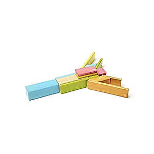 Tegu 14 Piece Magnetic Wooden Block Set in Tints