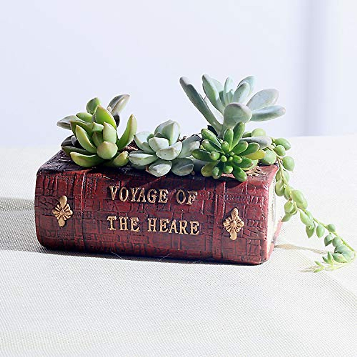Aygrün Succulent Pots, Cute Resin Animal Flower Planters Decorations, 4 Inches, Creative Pot for Sempervivum with Drainage, Gift for Women, Man, Office and Garden Decor Book, 5.5″x4.0″x2.2″