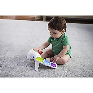 Baby Einstein Glow & Discover Light Bar Activity Station, 1 Count (Pack of 1)