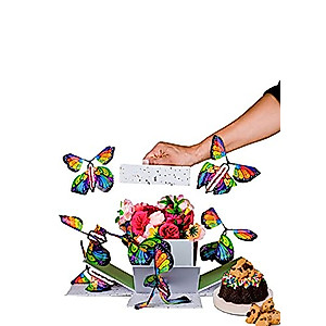 Send a Cake Explosion Box Gift with Flying Butterfly Surprise- Birthday, Holiday, Special Occasion – Birthday Treat for Women, Men, Adults, Kids