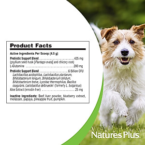 Natures Plus FurBaby Probiotic for Dogs - 9.5 oz - Supports Digestive, Heart, Liver & Immune Health - 60 Servings