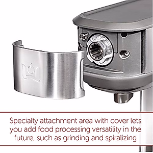 Wolf Gourmet High-Performance Stand Mixer, 7 qrt, with Flat Beater, Dough Hook and Whisk, Brushed Stainless Steel (WGSM100S)