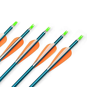 SHARROW 30Inch Archery Aluminum Arrows Target Practice Hunting Arrows Spine 500 with Removable Tips for Compound & Recurve Bow (12 pcs Blue Shaft)