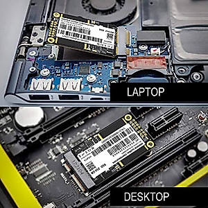 INDMEM mSATA SSD 256GB Internal Mini SATA III SSD Micro-SATA TLC 3D NAND Flash 256 GB