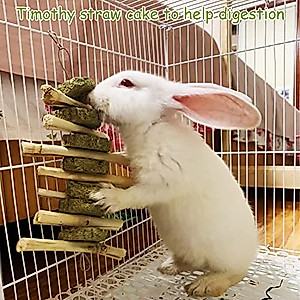 kathson Bunny Chew Toys for Teeth, Pet Snacks Molar Sweet Bamboo with Grass Cake for Hamster Chinchilla Guinea Pig Rabbit Rats(2 Packed)