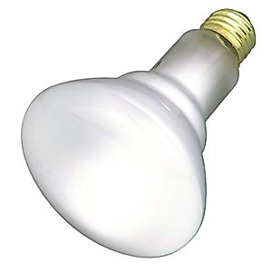 Satco Products S3417 130-Volt 65BR30 Flood Light Bulb, 2-Pack