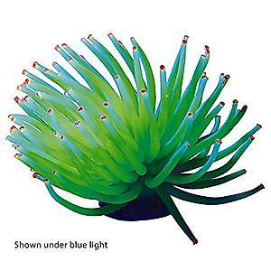 GloFish Anenome Ornaments, Fish Tank Decorations, Aquarium Decorations, Creates a Glowing Effect