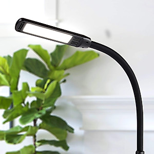 Brightech Vista 3-in-1 Desk Lamp for Living Rooms, LED Floor Lamp, Tall Lamp with Remote Control, Work Light for Documents, Standing Lamp with Flexible & Adjustable Gooseneck for Reading and Crafts