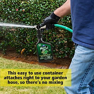 CENTRAL GARDEN BRANDS Lilly Miller Moss Out for Lawns Ready to Spray 32oz, 1-(Pack)