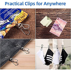 H&W 66pcs Chip Clips, Small Stainless Steel Clothes pins Clips for Laundry, Food Package, Chips Bag, Photos, Parper, 2 Inch