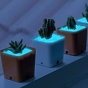 850pc Blue Glow in The Dark Rocks Outdoor Decorative Stones Glow Stones Luminous Pebble Glowing Rocks Outdoor Decor Luminous Stone for Fish Tank Garden Patio Aquarium Walkway Driveway(Blue)