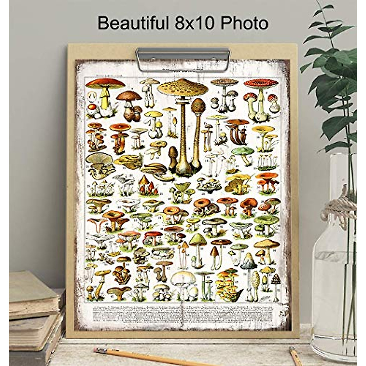 Dining Room, Kitchen Decor - Rustic Vintage Botanical Mushrooms Chart - Larousse Gastronomique Sign Photo Wall Art for Cafe, Restaurant - Unique Housewarming Gift -8x10 Boho Farmhouse Style