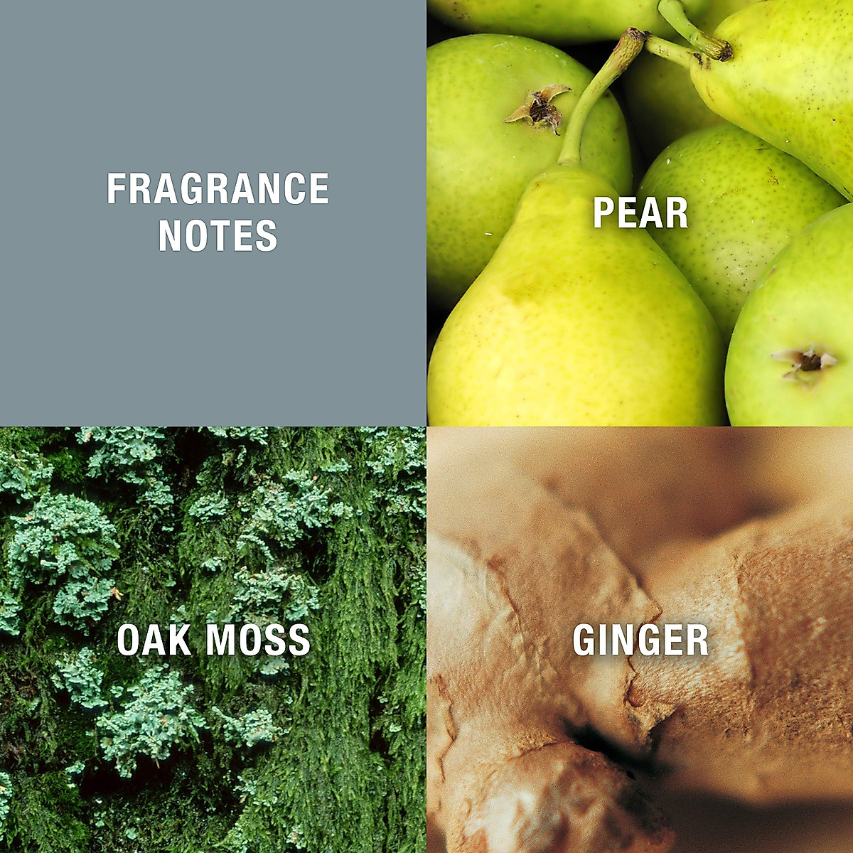 Curve Crush Cologne Spray For Men, Casual Scent For Day & Night, 4.2 oz