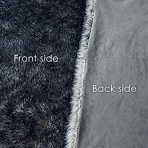 DECOSY Luxury Faux Fur Throw Blanket, Ultra Soft Fuzzy Bed Blankets, Lightweight and Cozy Warm Touch, All Season Fluffy Plush Blanket for Sofa Couch Bed (Silver Gray, 88"x 90")