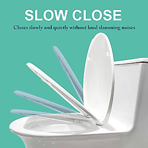 D-Shaped Toilet Seat, Built in Potty Training Toilet Seat, Toddler Toilet Seat Slow Close, Fits Both Adult And Child, PP Material,Green