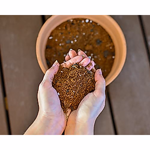 Jade Plant Potting Soil Mix (8 Quarts), Hand Blended Additive for Jade Succulents