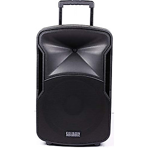 Edison Professional St-3000 Multi-Function Loud Speaker and PA System, Black ST3000