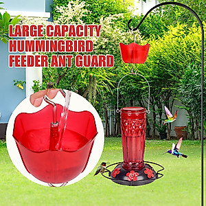 Ant Moat for Hummingbird Feeders 4 Pack,5 oz High Capacity，Suitable for Outdoor Patio Hanging Feeder, Garden Decoration, Sturdy and Leak-Proof(Bottle not Included