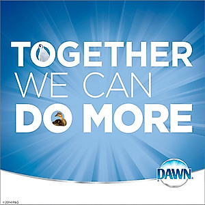 Dawn Ultra Dishwashing Liquid Original Scent (75 oz.)