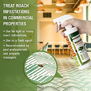EcoVenger Roach & Ant Killer 1/2 Gal Trigger Sprayer, Kills on Contact, Kills Ants & Other Indoor & Outdoor Crawling Insects, Natural & Non-Toxic, Pleasant Botanical Scent, Safe for Children & Pets
