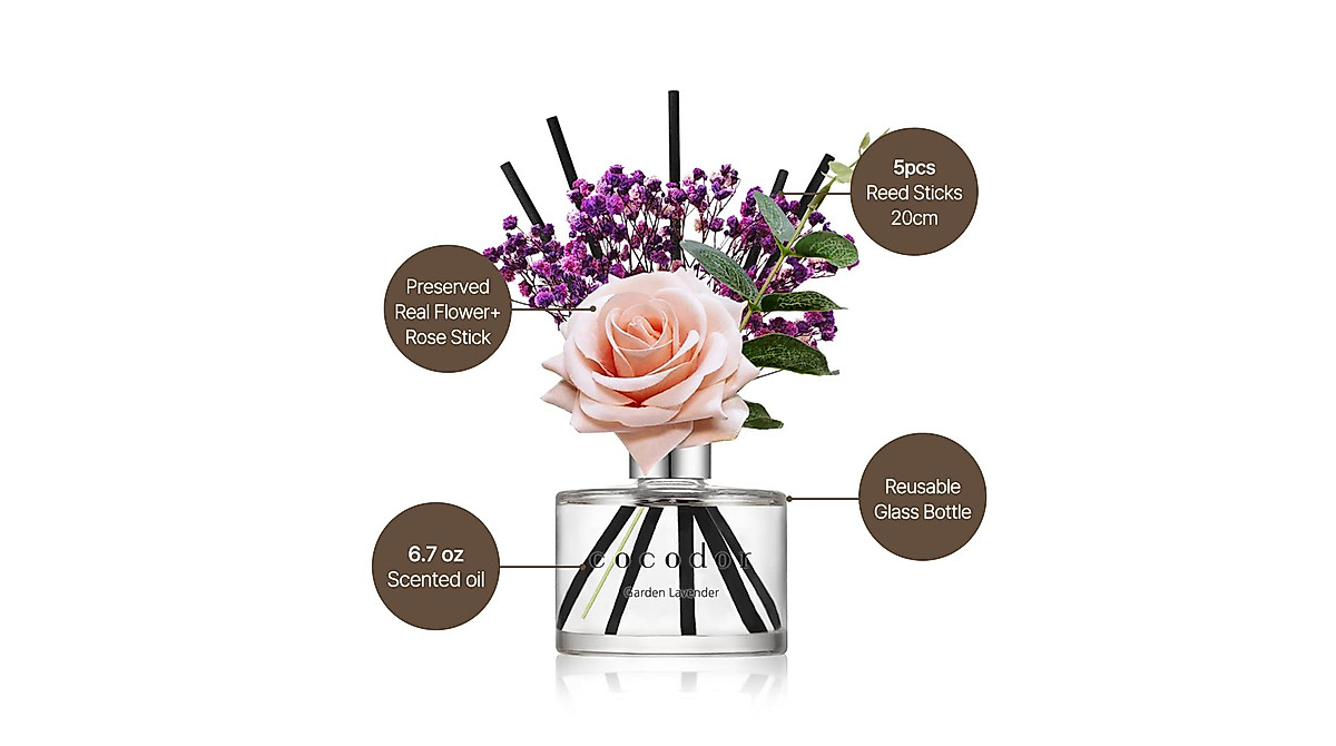 COCODOR Rose Reed Diffuser Set – Elegant 6.7oz Home Fragrance with Rose ...