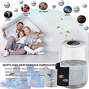 Skydiras F100 True HEPA Repalcement Filter, Compatible with Instant AP100 Air Purifier, Compare to F100 HEPA Filter, Removes Dust/Odors/Allergens, 2-Pack