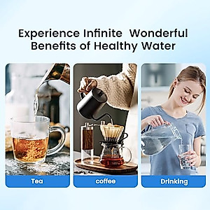 Waterspecialist NSF Certified Replacement Pitcher Water Filter, Replacement for Pur® Pitchers and Dispensers PPT700W, CR-1100C and PPF951K Water Filter (Pack of 4)