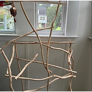 ExoticDad Small Parrot Stand - Customize Your Perch for Parrot with Dragonwood Natural Bird Perch on Wheels Parrot Play Stand for Cockatoo, Birds, African Grey, Macaw, Birds (2 x 2.85 Ft - B 4Ft H)