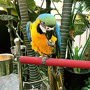 3Pcs Bird Perchs Bird Stand Toy and 1Pcs Bird Rope Perches, Wood Parrot Stand Platform Colorful Sand Paw Grinding Stick Cage Accessories Exercise Toys for Cockatiel Conure Budgies Parakeet (Wood+Rope)