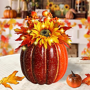 Roseeyo 11 Inch Lighted Pumpkin Decor, Thanksgiving Decorations Artificial Pumpkin with 30 LED Lights 9 Maple Leaves 2 Pumpkins 2 Berry Stems Sunflower Straw, Autumn Pumpkin Home Table Decorations