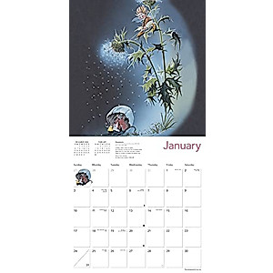 Fairyland Wall Calendar 2021 (Art Calendar)