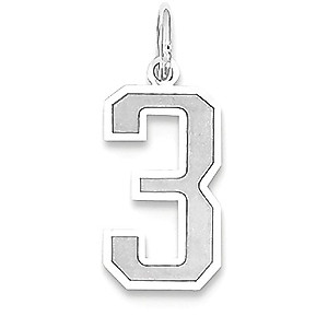 IceCarats 14K White Gold Medium Number 3 Necklace Charm Pendant Only