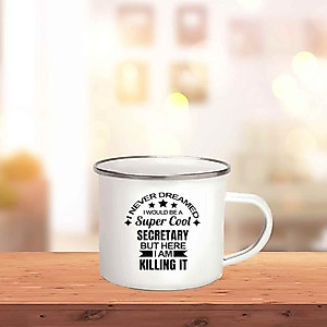 Humorous Gift Unique Office Professional Gift For Secretaries, Anniversary Surprise For Aunt - Killing It, Inspirational Quote On 12oz Enamel Silver Mug
