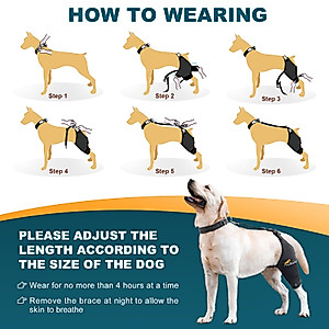 Dollephi Dog Knee Brace for Torn ACL Hind Leg, Hot/Cold Compress for Patella Dislocation or Osteoarthritis, Cruciate Ligament Injuries, for Medium & Large Dogs(Left Leg,L)
