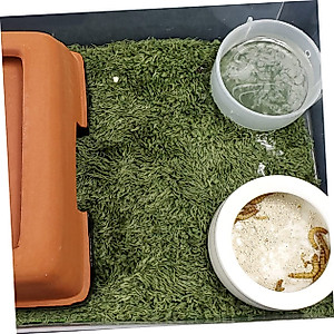 GANAZONO 2Pcs Climbing Pet Fake Lawn Terrarium Substrate Liner Reptile Bed Reptile Climbing Carpet Miniature Grass mat Amphipod Reptile Moss Carpets Horned Frog Cotton Absorbent pad