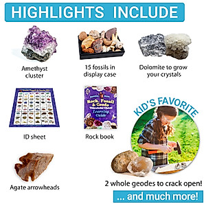 DANCING BEAR Rock, Mineral & Geodes Treasure Hunt Activity Kit (250 Pc Set) Real Shark Teeth Fossils, ID Sheet & Rock Book, STEM