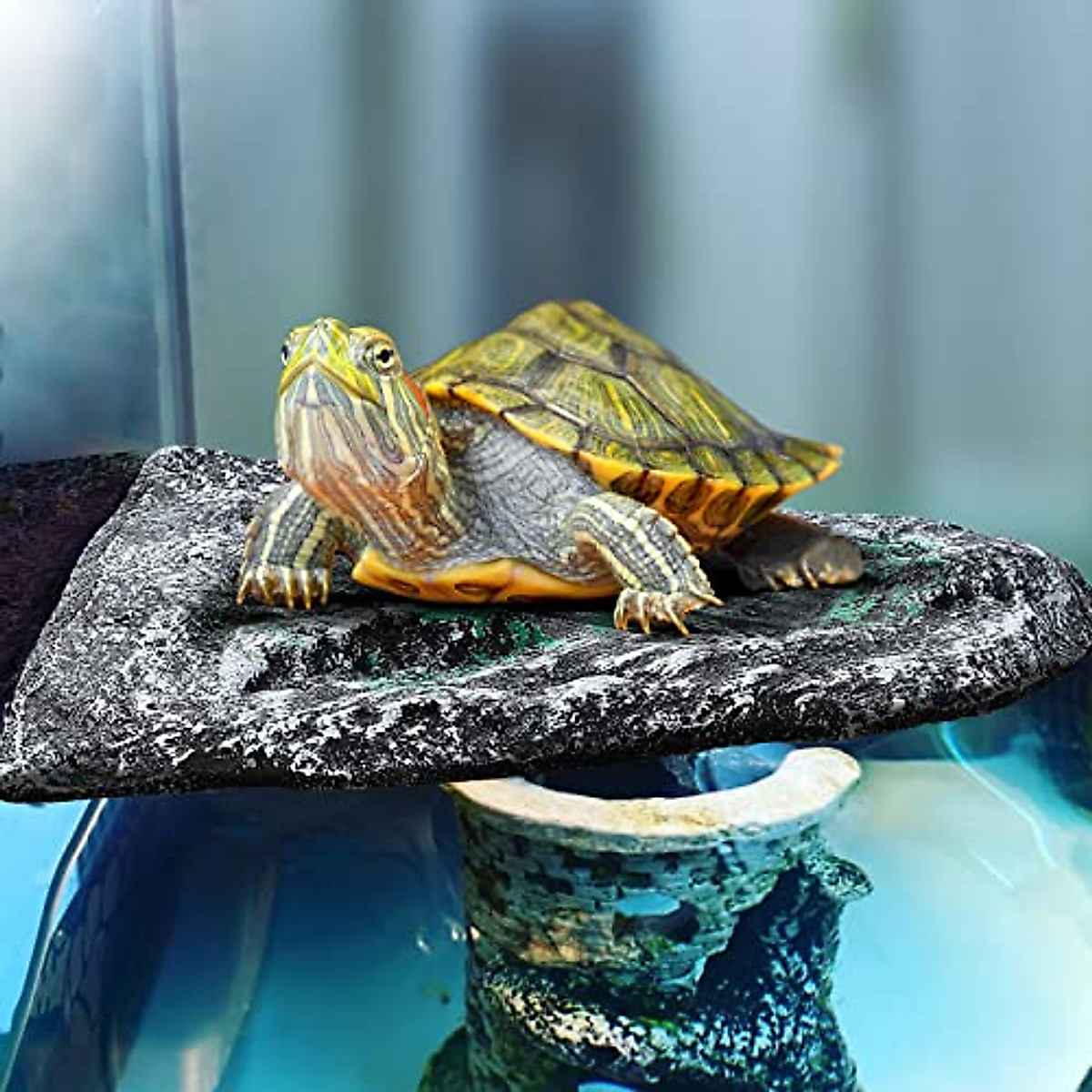 INKPET Turtle Floating Basking Platform, Reptile Climbing Tortoise Resin Resting Terrace for Frogs Newts Amphibians Lizard