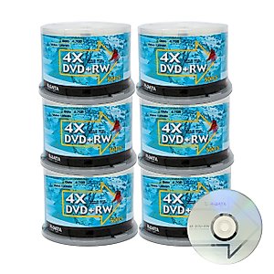 300 Pack Ridata DVD+RW 4X 4.7GB Silver Logo Rewritable DVD Plus RW Re-writable Blank Recordable Media Disc