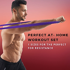 Functional Fitness Pull Up Assist Resistance Bands | Heavy Duty Exercise Bands for Powerlifting, Mobility, and Stretching | Travel Friendly Resistance Bands for Workout (Purple, Pink)