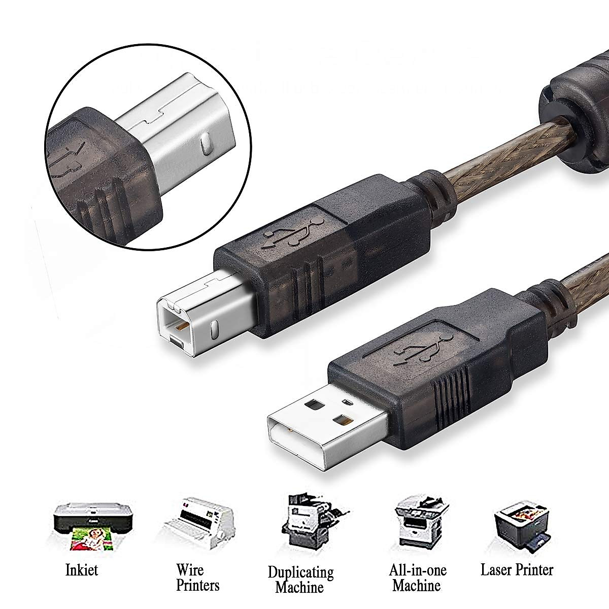 Tan QY Active USB 2.0 Printer Cable 100Ft - A-Male to B-Male High Speed Printer/Scanner/Repeater Cable for HP, Canon, Lexmark,Dell, Samsung etc (100Ft/30M)
