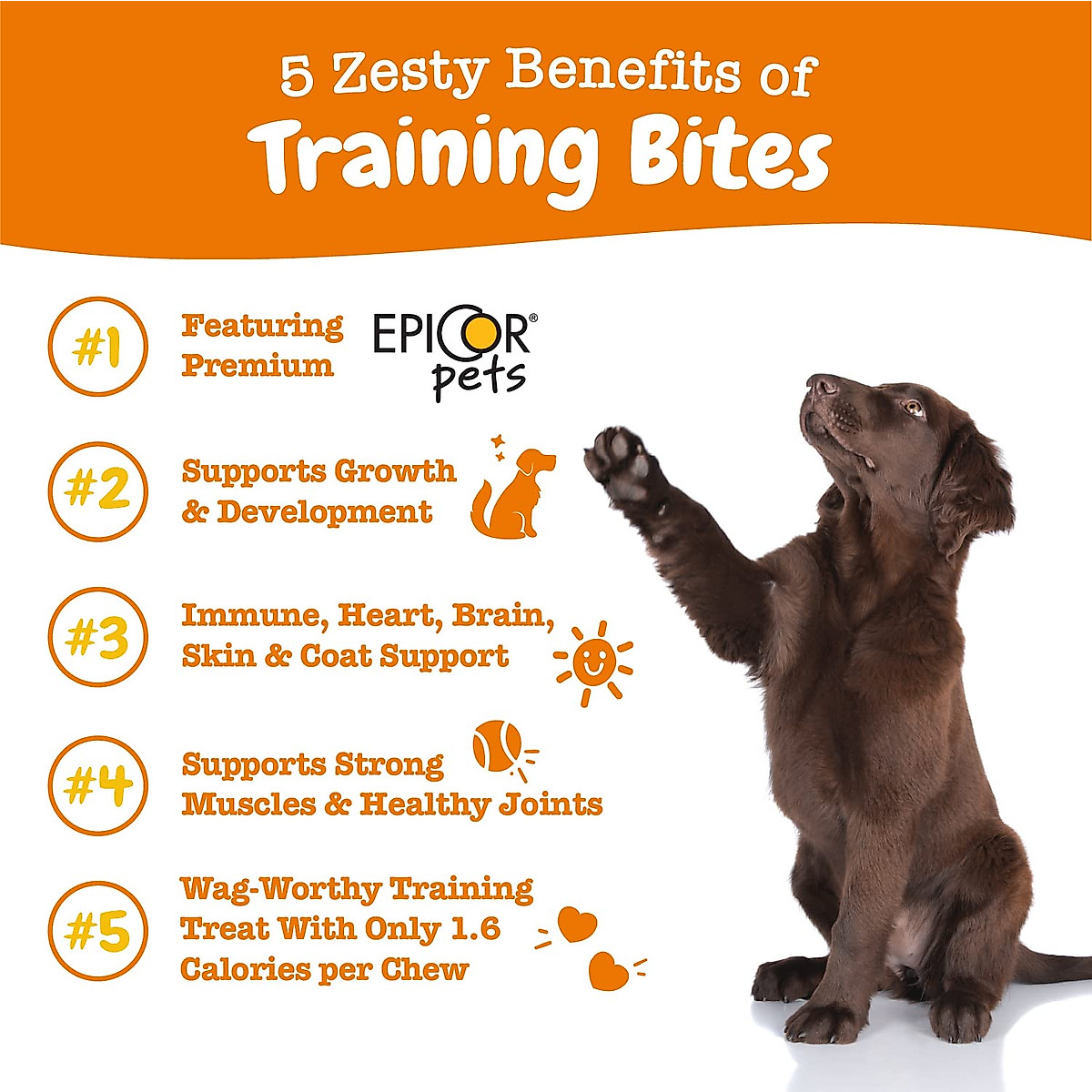 Zesty Paws Training Treats for Dogs & Puppies - Healthy Dog Treats for Hip, Joint & Muscle Health - Puppy Training Treats - for All Breeds and Ages - Dog Treats for Training - Bacon Flavor – 8oz