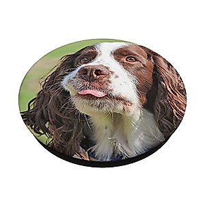 Springer Spaniel Gifts - Cute springer Spaniel Sticking Tong PopSockets PopGrip: Swappable Grip for Phones & Tablets