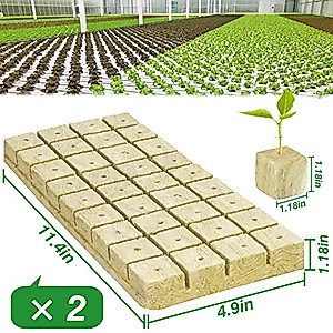 Halatool 1.2 inch Rockwool Cubes 2 Sheets Fluffy Porous Hydroponics Planting Cubes for Soilless Cultivation Seedlings Cuttings Clone Plants (72 Plugs Total)
