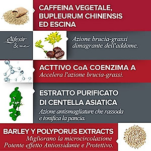 ELIFEXIR VIENTRE PLANO EMULSION 200 ML