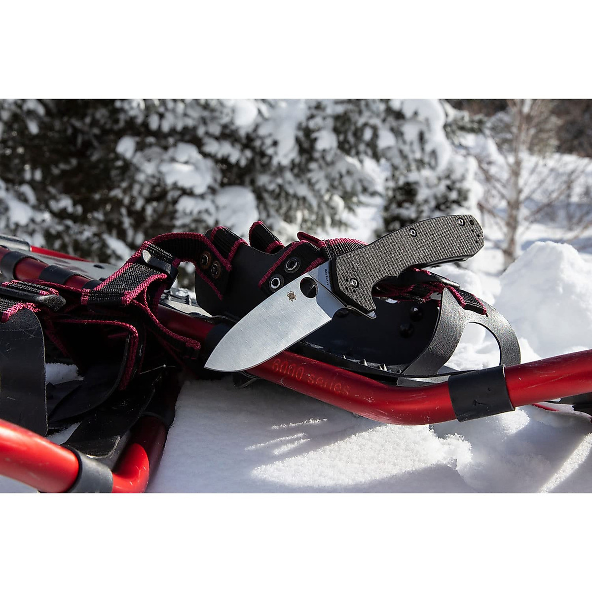 Spyderco Amalgam Premium Flipper Knife with 3.8" CPM S30V Stainless Steel Blade and Textured Carbon Fiber G-10 Handle - PlainEdge - C234CFP