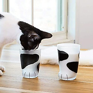 Asionper Novelty Cat Claw Cup, Cat Paw Frosted Cup for Kids, Glass Cups for Personality Breakfast Milk, Cute Claw Print Mug for Men and Women Couples Household Valentine's Day Gift