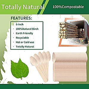 4 inch Mini Wooden Spoons, Biodegradable Compostable Birchwood, Food Grade Disposable Spoons Disposable Wooden Cutlery for Parties, Weddings, Camping 200pcs.