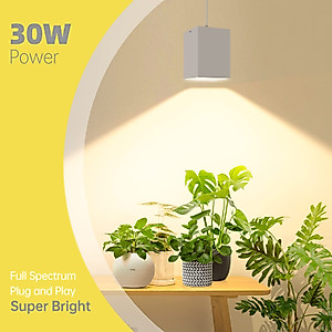Bstrip Hanging Grow Light, 3000K Full Spectrum Hanging Grow Lights for Indoor Plants, 30W Plant Light Bulbs with 16.4FT Power Cord, Plant Light for Indoor Plant with Timer for Garden, Greenhouse