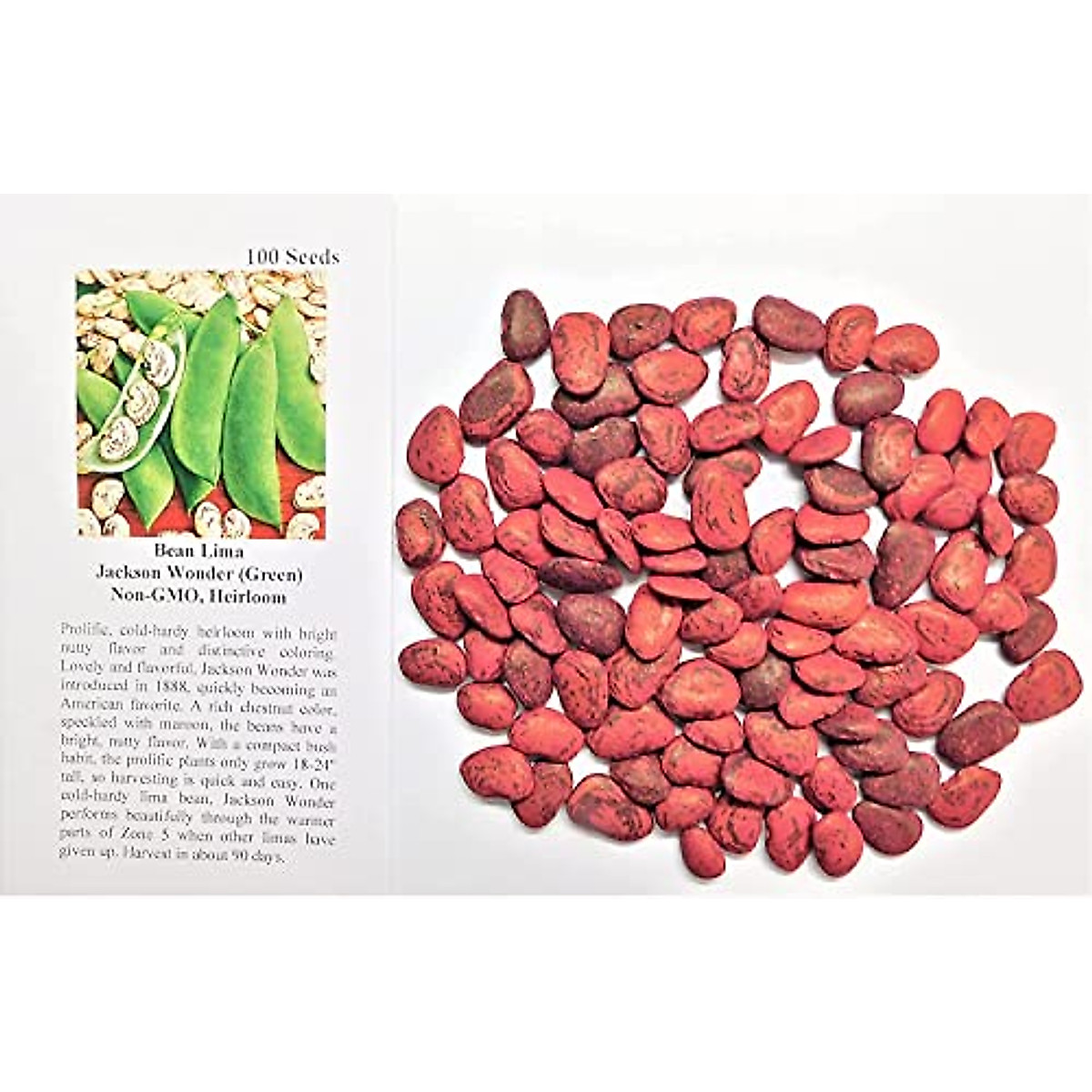 David's Garden Seeds Bean Lima Bush Jackson Wonder FBA-00051 (Green) 100 Non-GMO, Heirloom Seeds